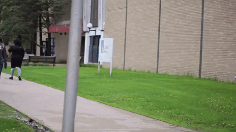 School College GIF by Western Illinois University - Find & Share on GIPHY