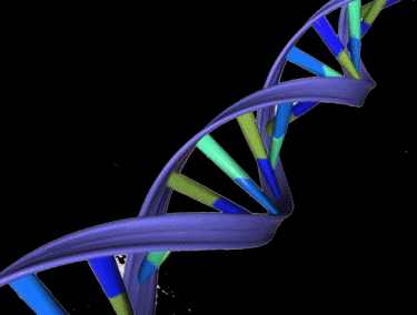 Dna GIF - Find & Share on GIPHY