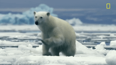 Nat Geo Hostile Planet GIF by National Geographic Channel - Find ...