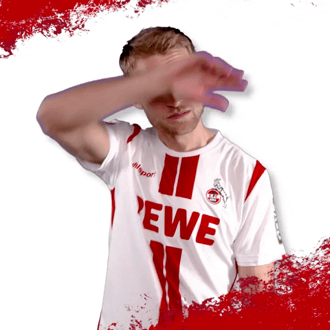 1 Fc Cologne Football GIF by 1. FC Köln - Find & Share on GIPHY