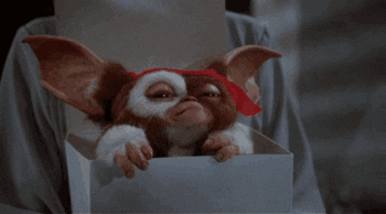 Gremlins GIF - Find & Share on GIPHY