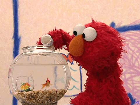 Elmo GIF - Find & Share on GIPHY