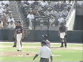 Baseball Bird GIF - Find & Share on GIPHY