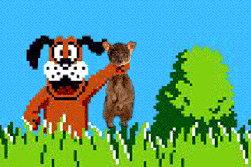 Duck Hunt GIF - Find & Share on GIPHY