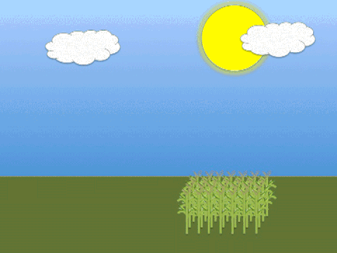 Field GIF - Find & Share on GIPHY