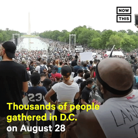 News Protest GIF by NowThis - Find & Share on GIPHY
