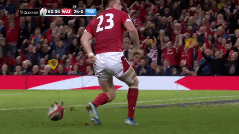Happy Rugby Union GIF by Guinness Six Nations - Find & Share on GIPHY
