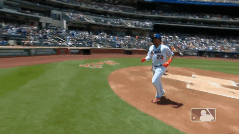 Celebrate Ny Mets GIF by New York Mets - Find & Share on GIPHY