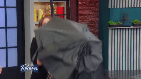 Rain Rachel GIF by Rachael Ray Show - Find & Share on GIPHY
