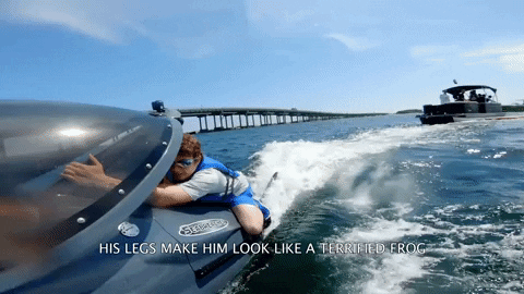 Shark Week Immersion GIF by Shark Week - Find & Share on GIPHY