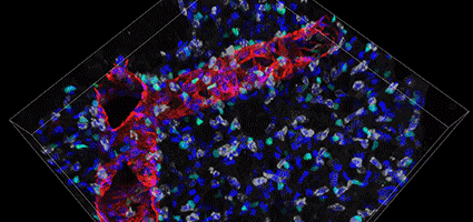 Biology Animated Gif