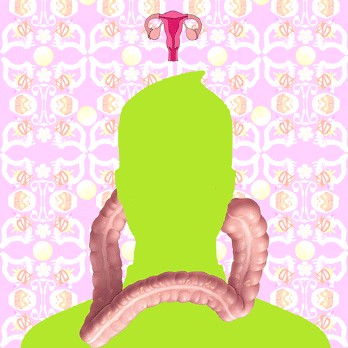 Intestines GIFs on Giphy