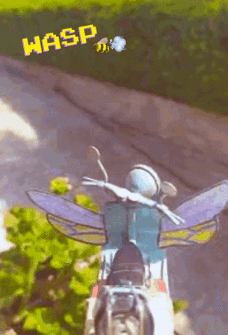 Spring Bee GIF by Vespa Club Verona - Find & Share on GIPHY