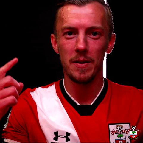 Celebrate Premier League GIF by Southampton FC - Find & Share on GIPHY