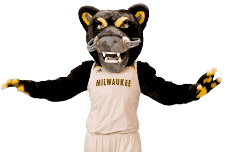 Pounce Look At Me GIF by UW-Milwaukee - Find & Share on GIPHY