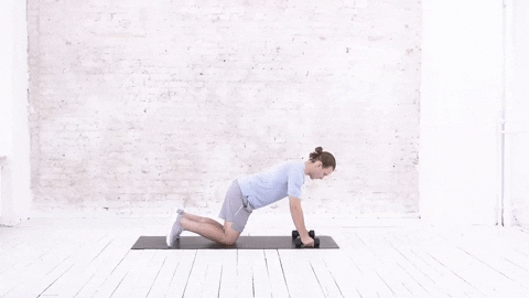 Workout Exercises GIF by 8fit - Find & Share on GIPHY