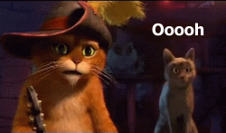 Ooooh Cat Gif