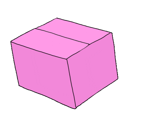 Box Unboxing Sticker by 1900BADDEST for iOS & Android | GIPHY