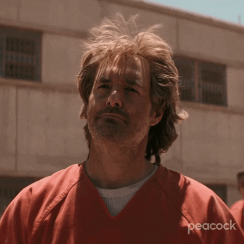 Episode 1 GIF by MacGruber - Find & Share on GIPHY