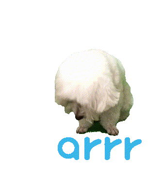 아르르 Sticker by arrr_official for iOS & Android | GIPHY