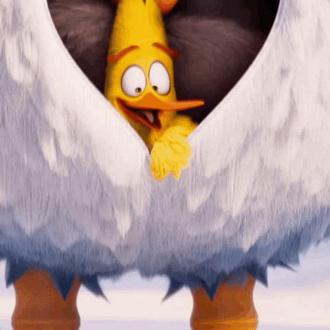 GIF by Angry Birds - Find & Share on GIPHY