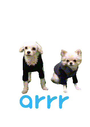아르르 Sticker by arrr_official for iOS & Android | GIPHY