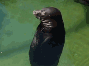 Today Of The Day Spinning GIF - Find & Share on GIPHY