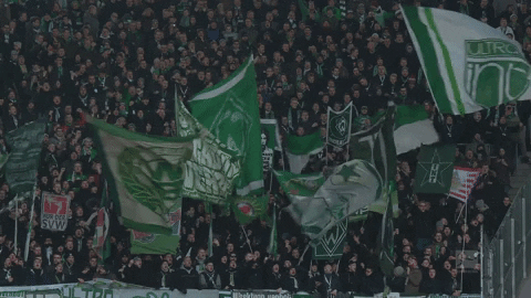 Fans Flag GIF by SV Werder Bremen - Find & Share on GIPHY