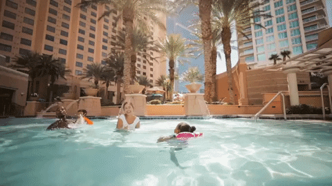 Summer Pool GIF by Switzerfilm - Find & Share on GIPHY