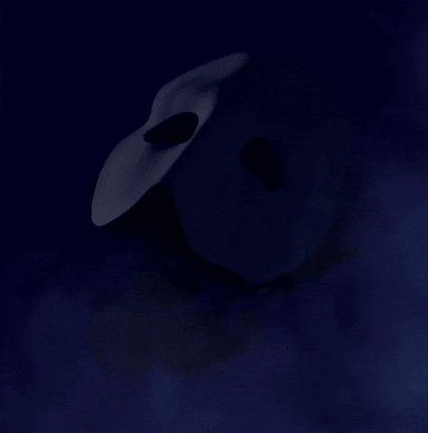 Mask Theatre GIF by The Phantom of the Opera - Find & Share on GIPHY