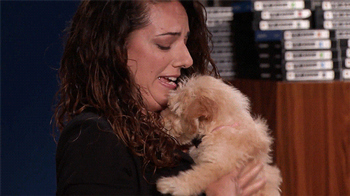 Sona Movsesian Puppy GIF by Team Coco - Find & Share on GIPHY