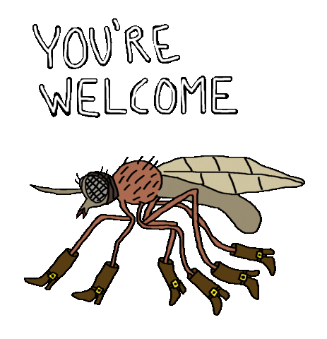 Bug Insect Sticker by Angry Duck for iOS & Android | GIPHY