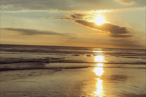 San Francisco GIF by Originals - Find & Share on GIPHY
