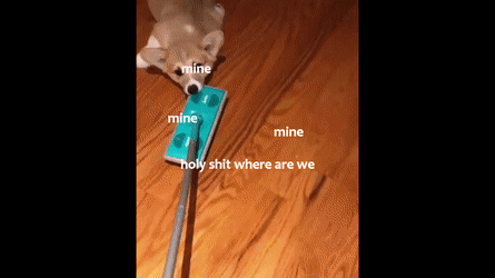 Mop GIFs - Get the best GIF on GIPHY