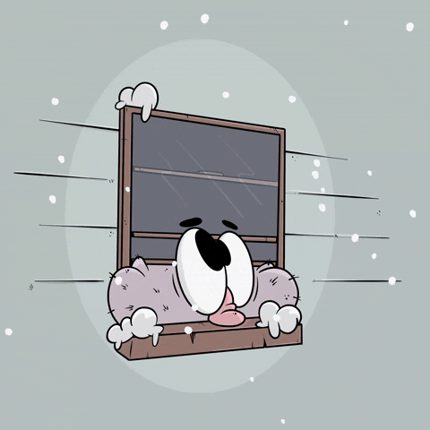 Fresh Cake - Share a Bite