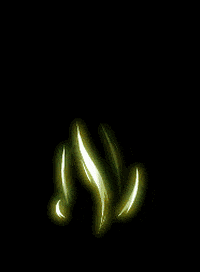 Maplestory GIFs - Get the best GIF on GIPHY