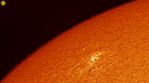 Space Sunspot GIF - Find & Share on GIPHY