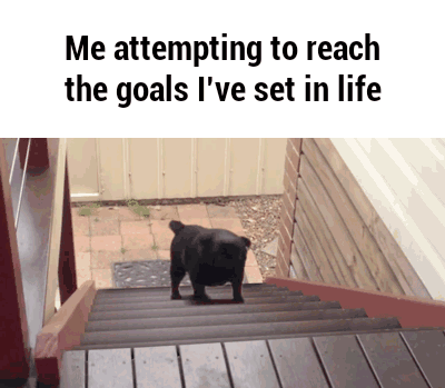 Setting Goal GIFs - Find & Share on GIPHY