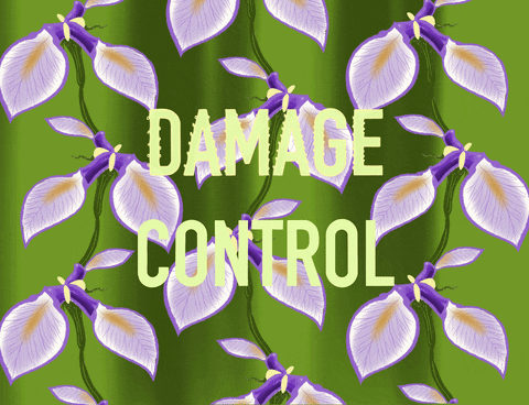 Animated Text Damage Control GIF - Find & Share on GIPHY