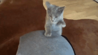 Scratching GIF - Find & Share on GIPHY