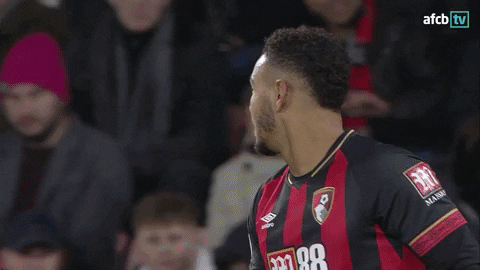 Football Shrug GIF by AFC Bournemouth - Find & Share on GIPHY