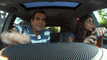 Seat Passenger GIF - Find & Share on GIPHY