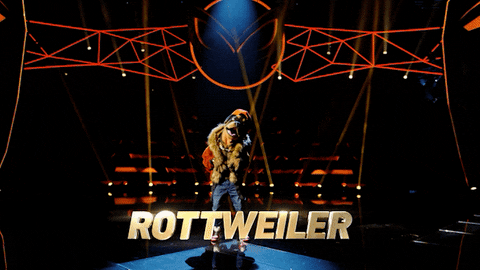 Masks Masked Singer Sneak Peek GIF by The Masked Singer - Find & Share ...