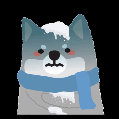 Dog GIF - Find & Share on GIPHY