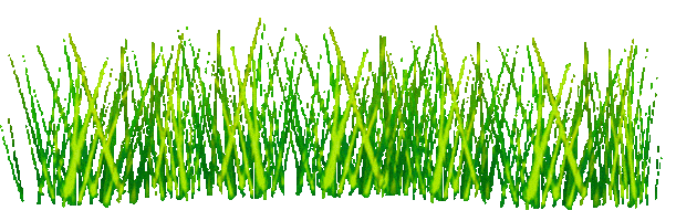 Grass Stickers - Find & Share on GIPHY