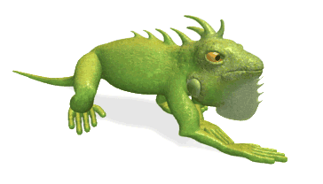 Iguana GIFs - Find & Share on GIPHY