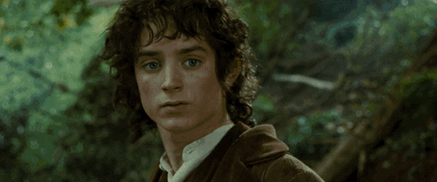 The Lord Of The Rings The Fellowship Of The Ring GIF - Find & Share on ...