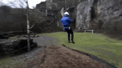 Sport Fun GIF by Stad Genk - Find & Share on GIPHY