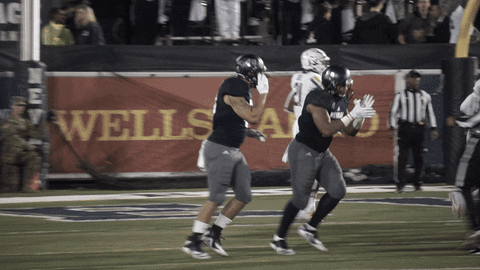Football Unr GIF by Nevada Wolf Pack - Find & Share on GIPHY