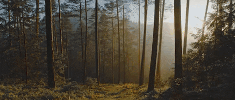 Vfx GIF by ActionVFX - Find & Share on GIPHY